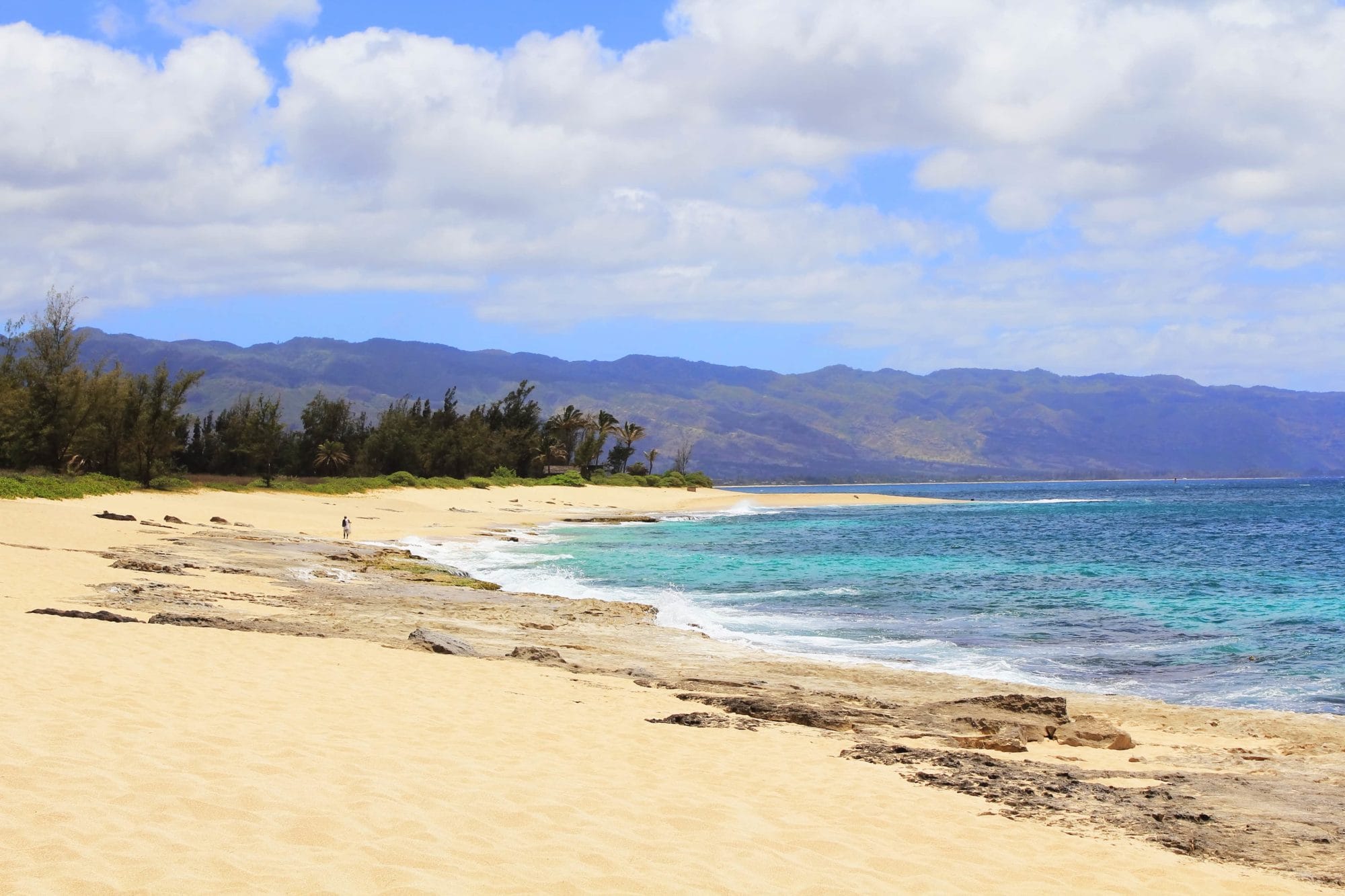 Haleʻiwa Beach Park, Oʻahu Hawaiʻi » 2024